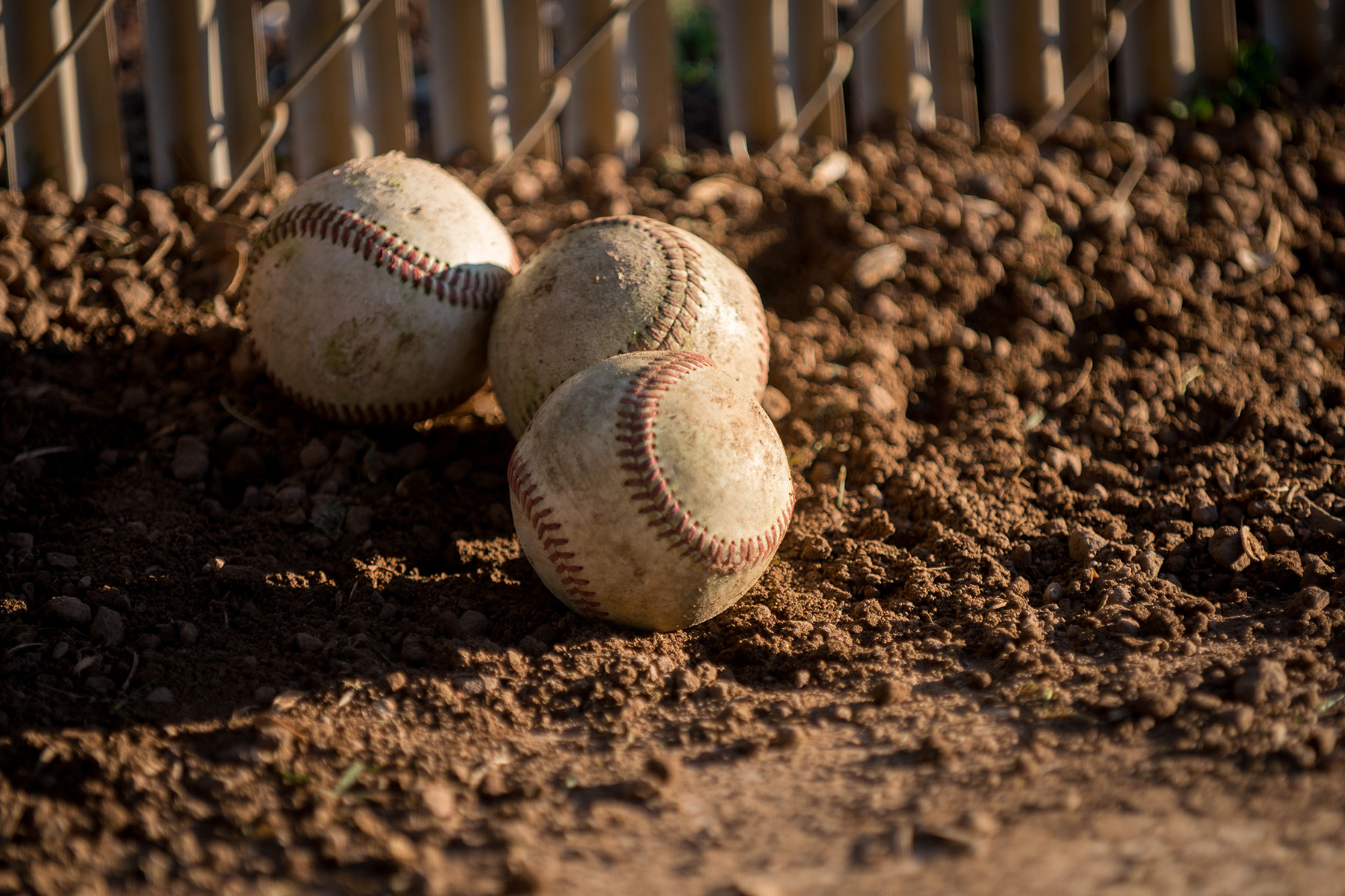 Raider Baseball | Reynolds School District - Oregon