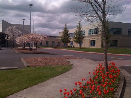 About Walt Morey Middle School | Reynolds School District - Oregon